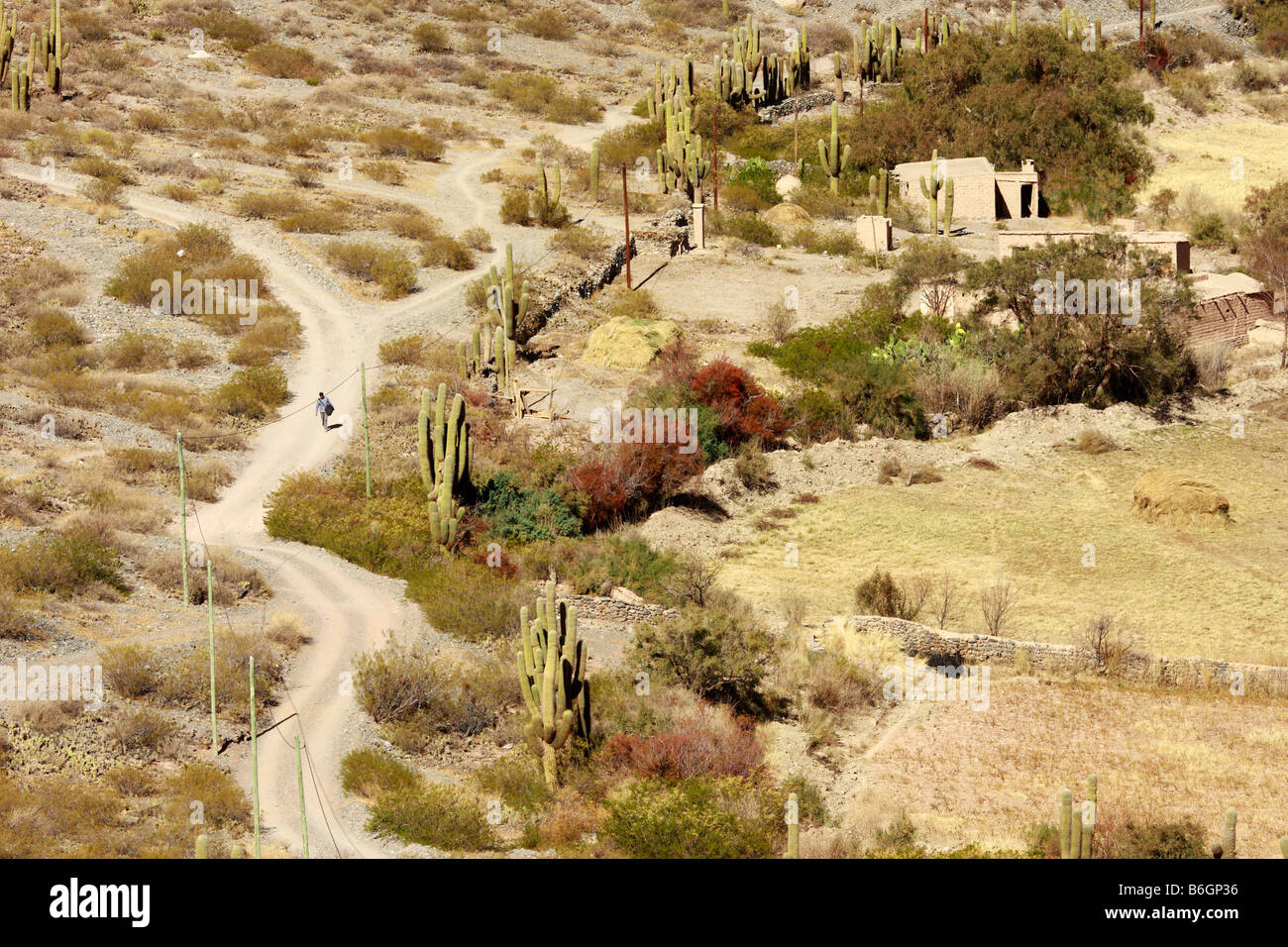 Argentinian landscape in the Andes in the vicinity of Cachi Salta ...