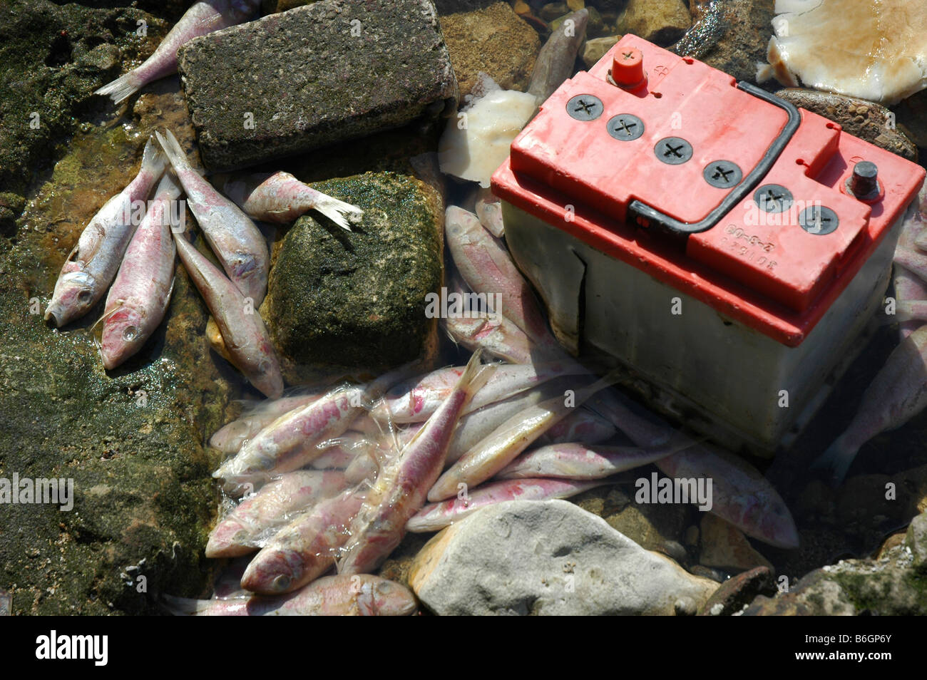 Marine pollution outcome hi-res stock photography and images - Alamy