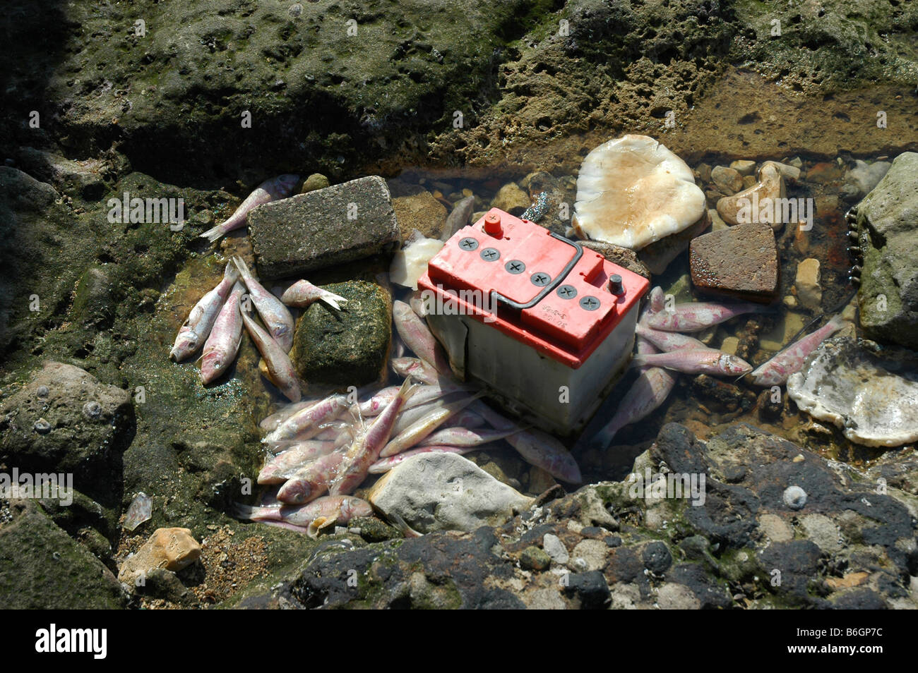Lead acid battery leak hi-res stock photography and images - Alamy