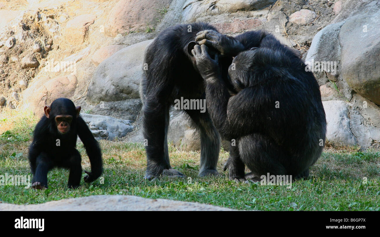 Lugris2 hi-res stock photography and images - Alamy