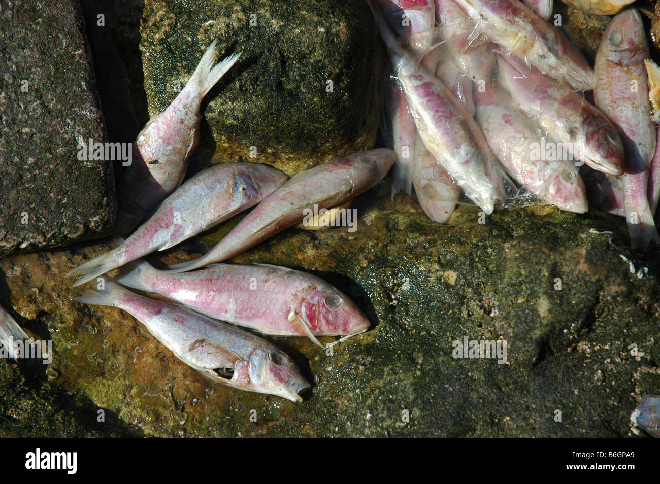 Outcome hi-res stock photography and images - Alamy