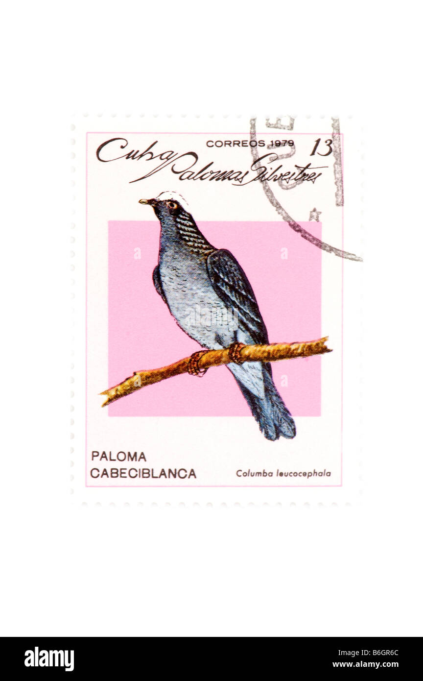 Bird postage stamp Cut Out Stock Images & Pictures - Alamy