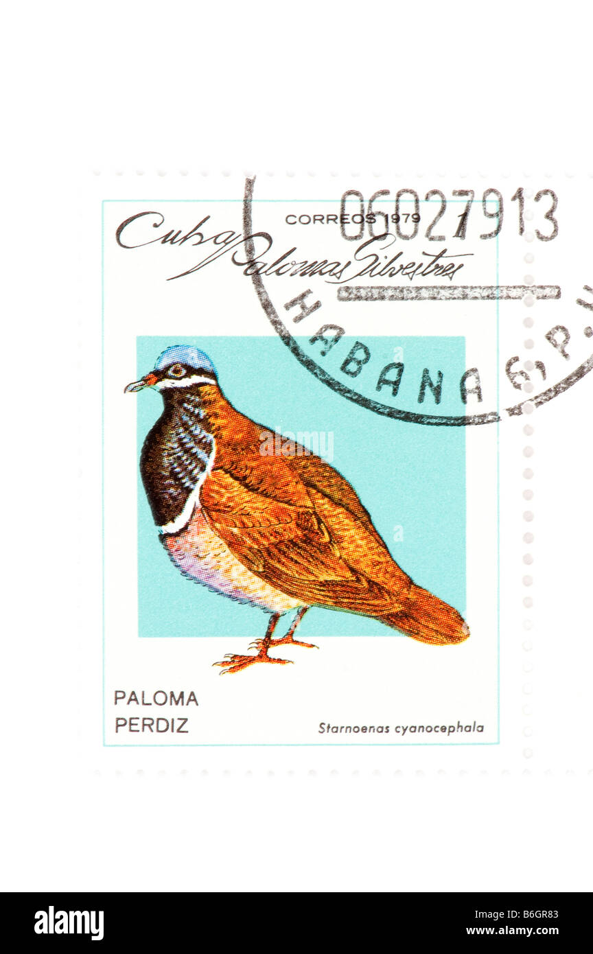 Bird postage stamp Cut Out Stock Images & Pictures - Alamy