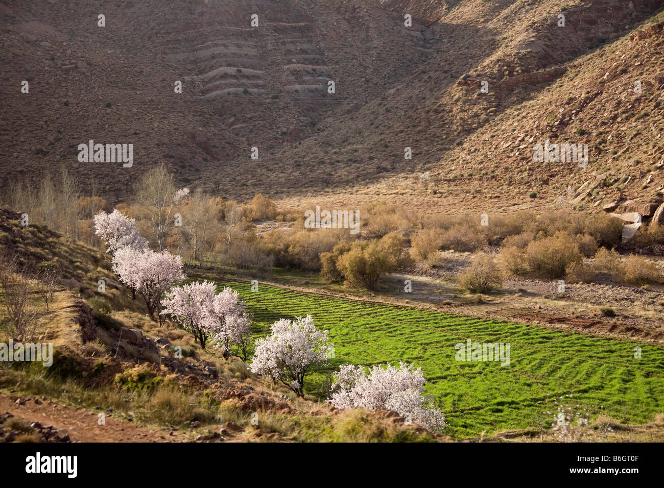 Marocain atlas hi-res stock photography and images - Alamy