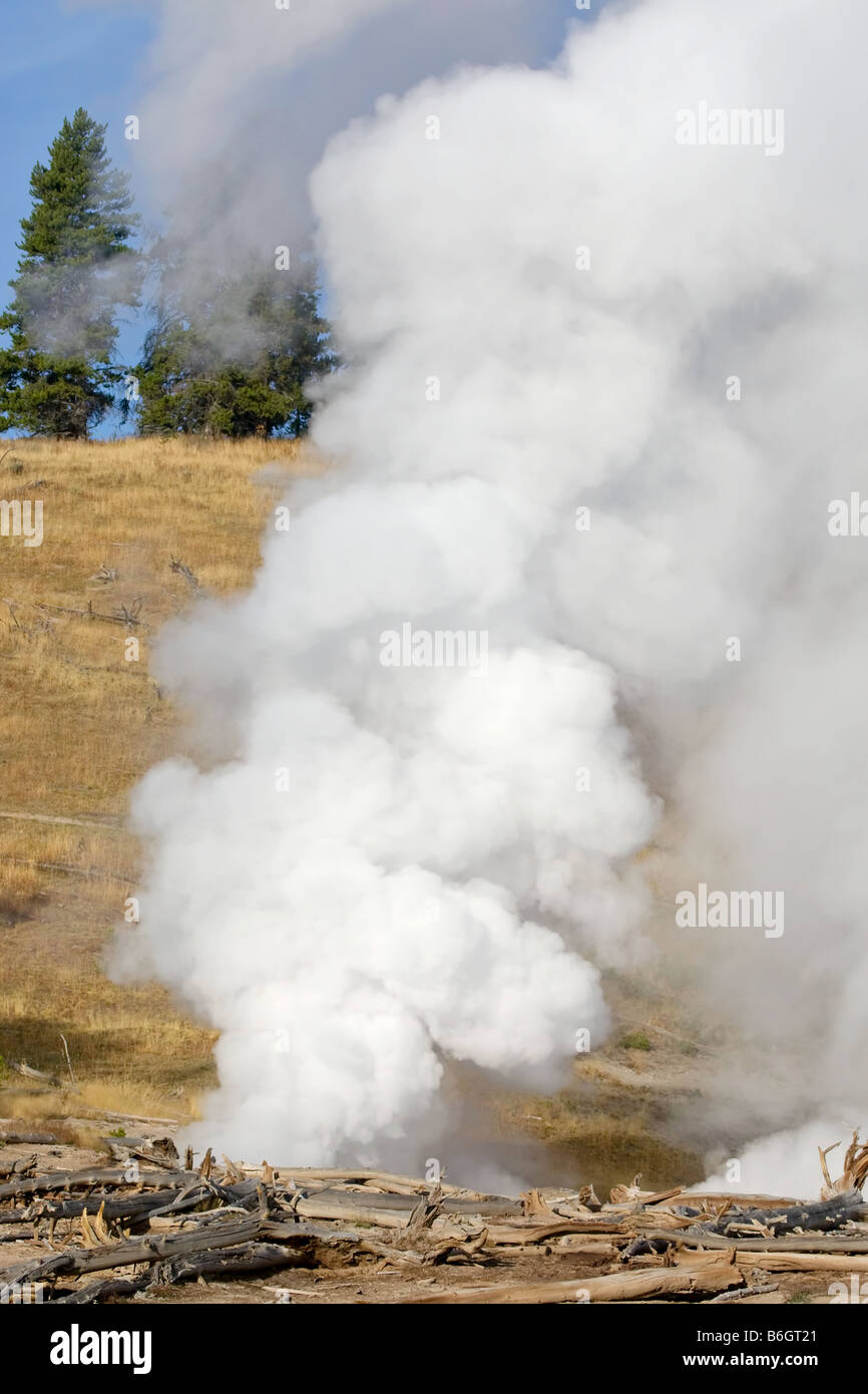 Poring hi-res stock photography and images - Alamy