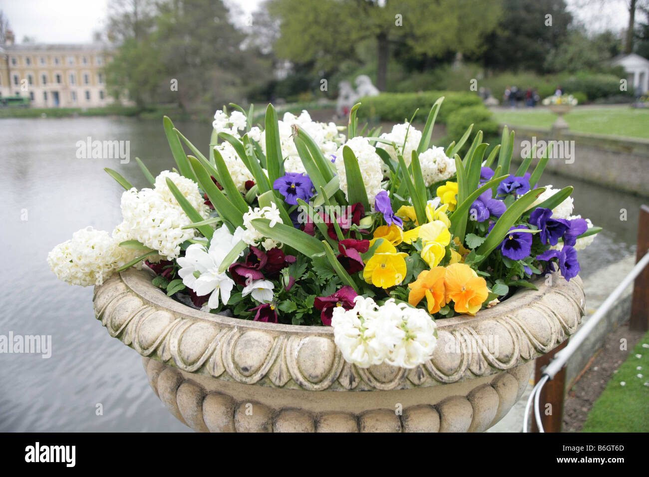 Blossom trees kew gardens hi-res stock photography and images - Alamy