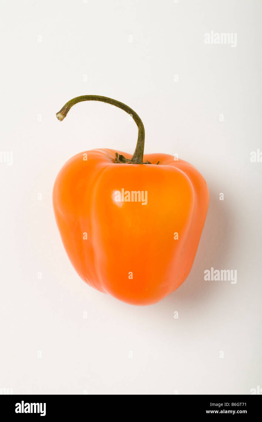 Manzano chili pepper Stock Photo - Alamy