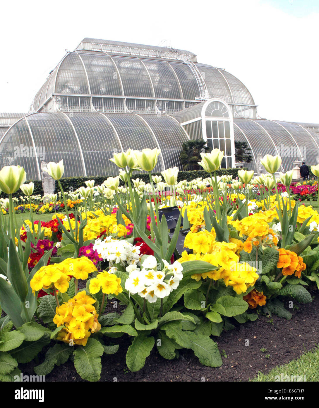 THE PALM HOUSE KEW GARDENS SPRINGTIME IN LONDON ENGLAND,UK Stock Photo ...