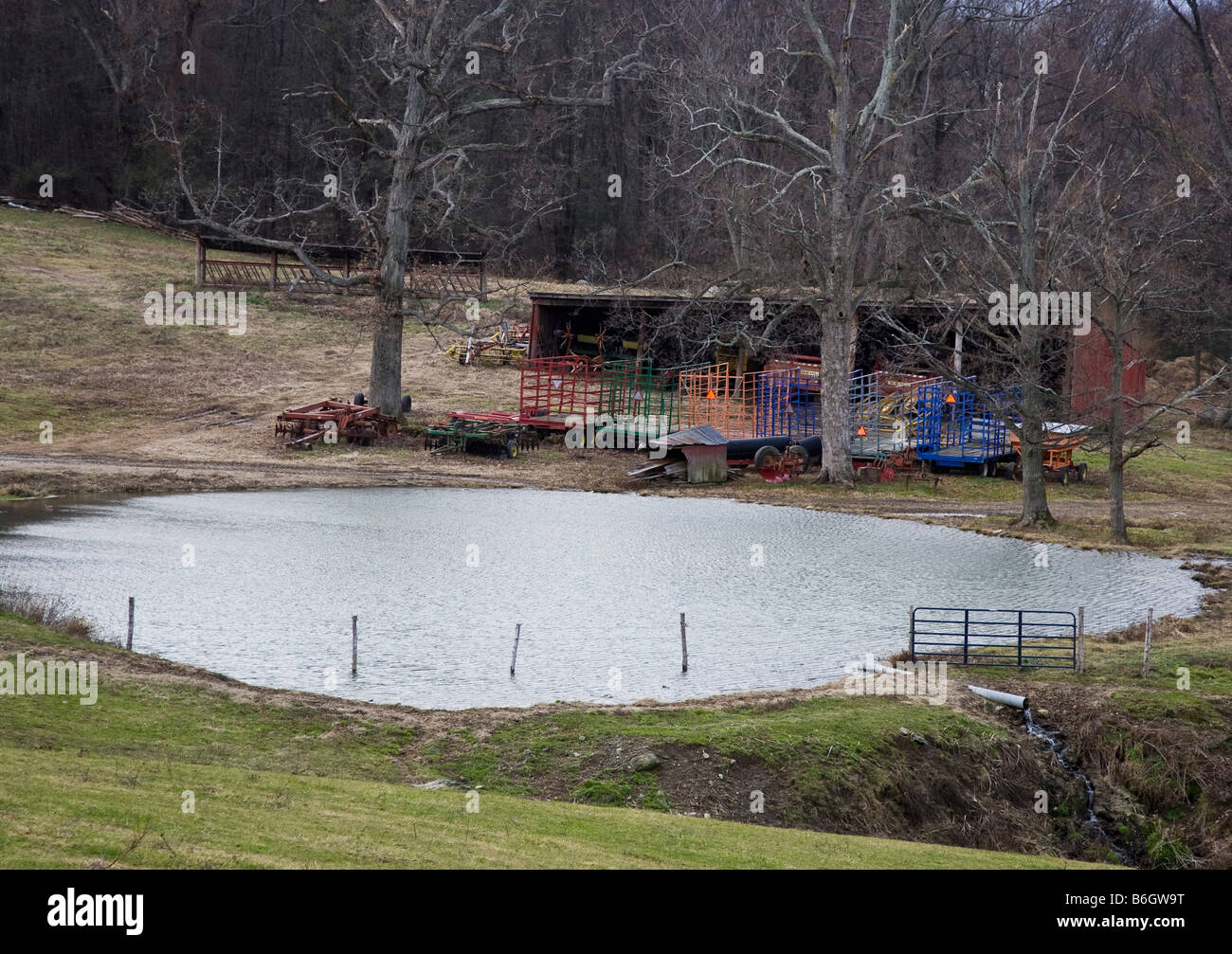 A pond on a rural farm Stock Photo - Alamy