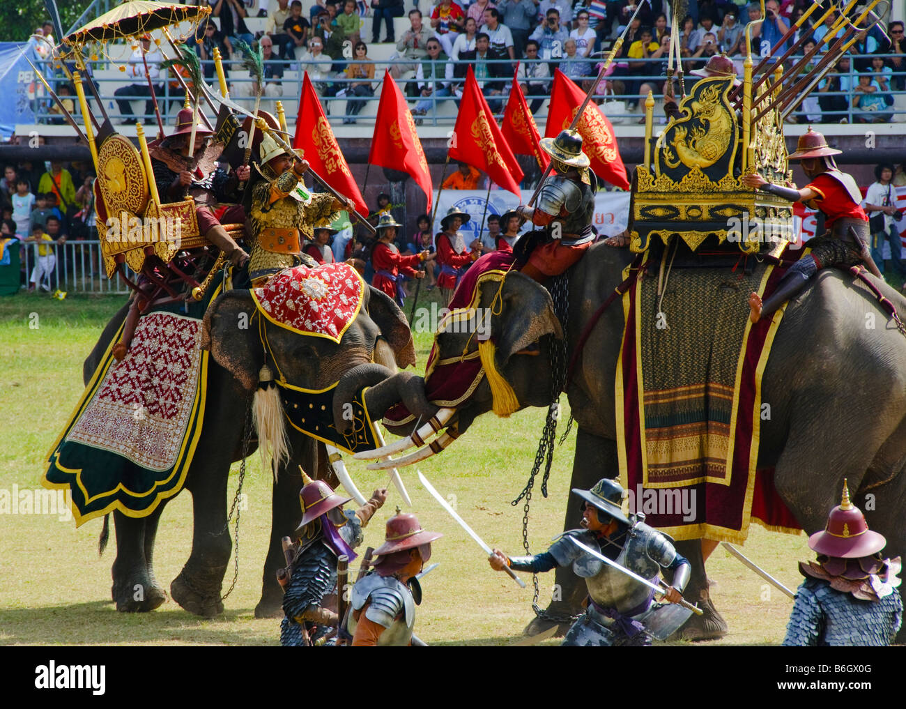 Pageant Battle With Elephants High Resolution Stock Photography and ...
