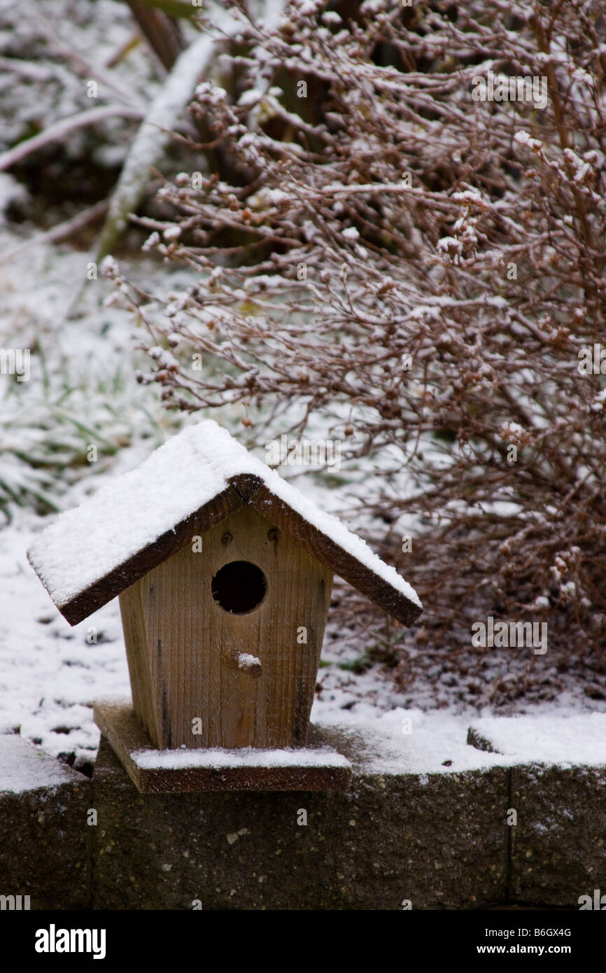 Birdhouse with snow on the roof sitting in a garden Stock Photo - Alamy