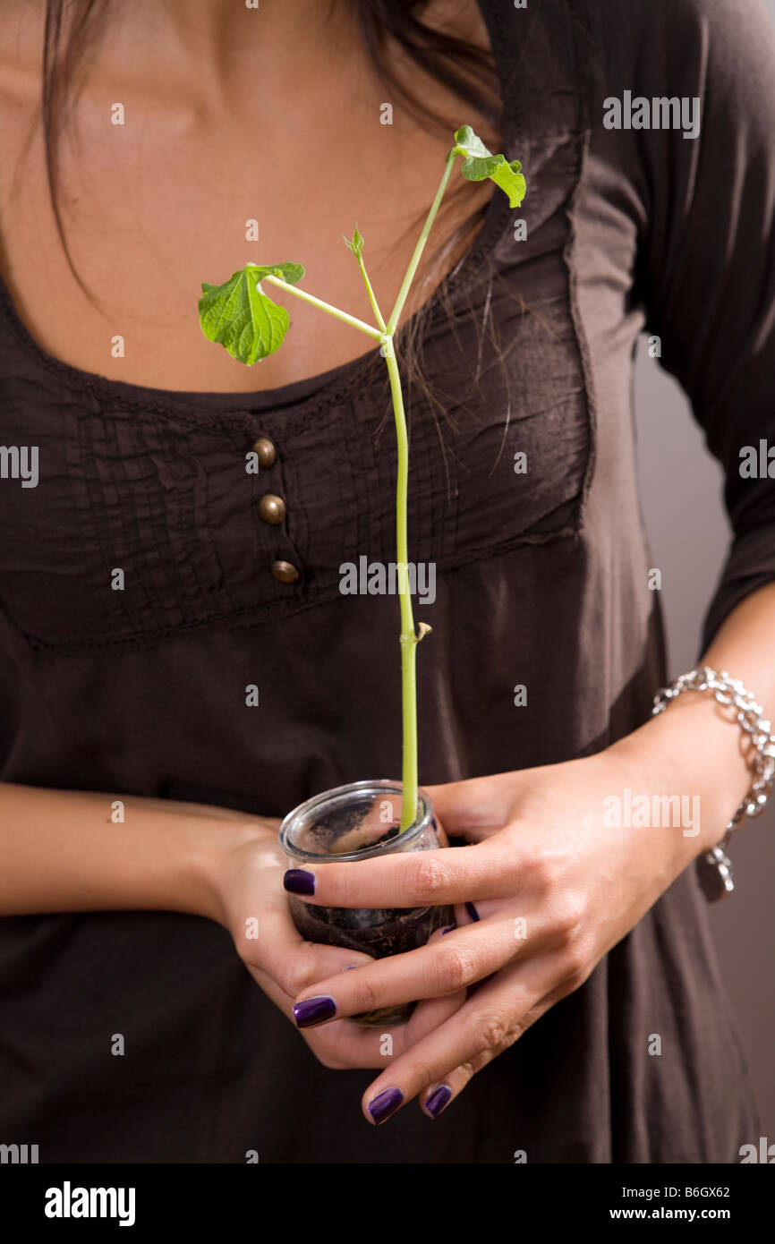 Growing plant in woman hands Stock Photo - Alamy