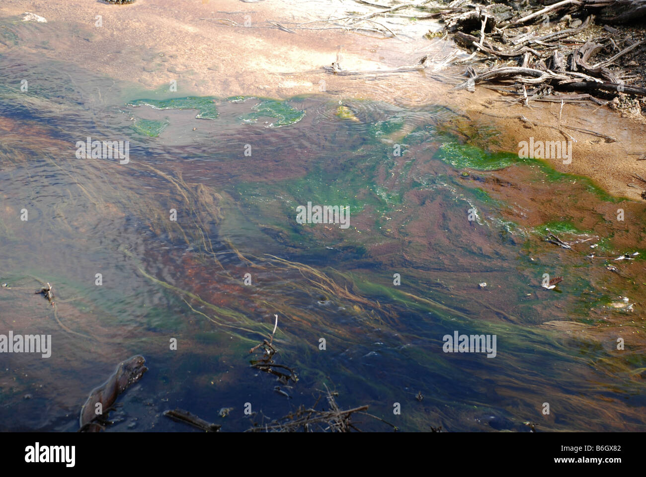 Water whirlpool hi-res stock photography and images - Alamy