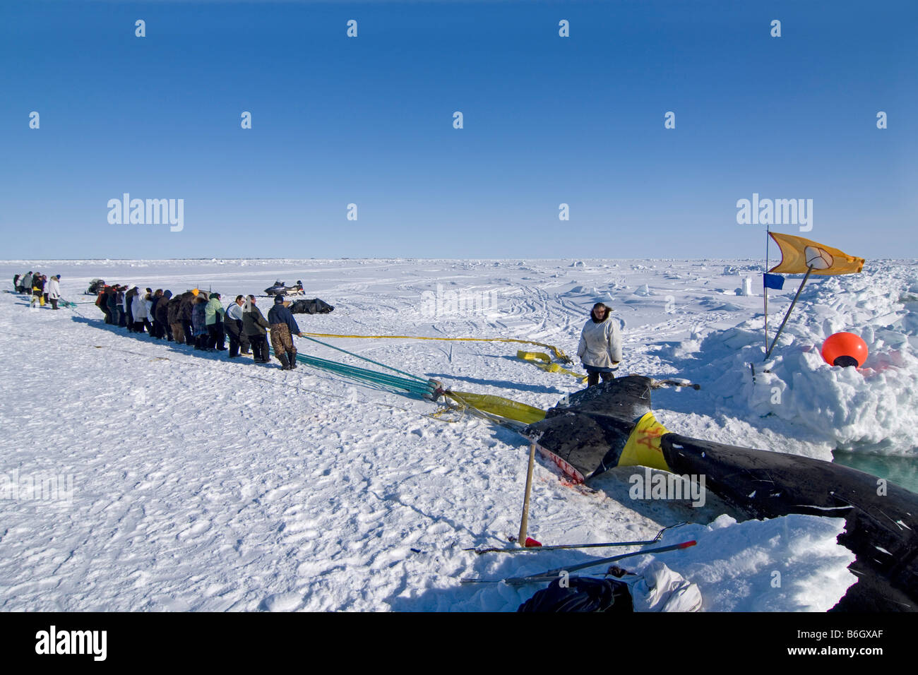 residents of the Inupiaq village of Barrow help the ABC whaling crew ...