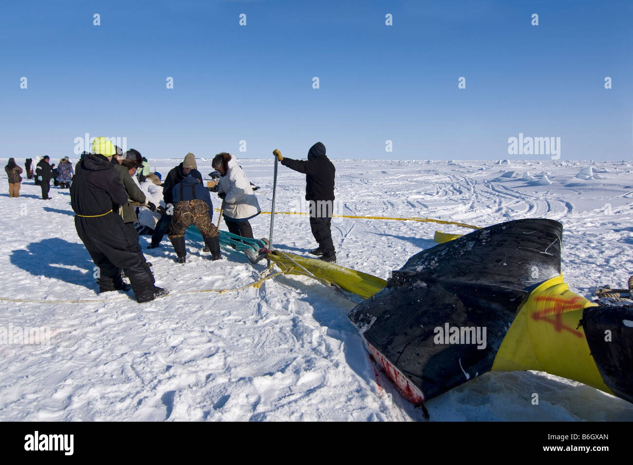 Subsistence whaling village hi-res stock photography and images - Alamy