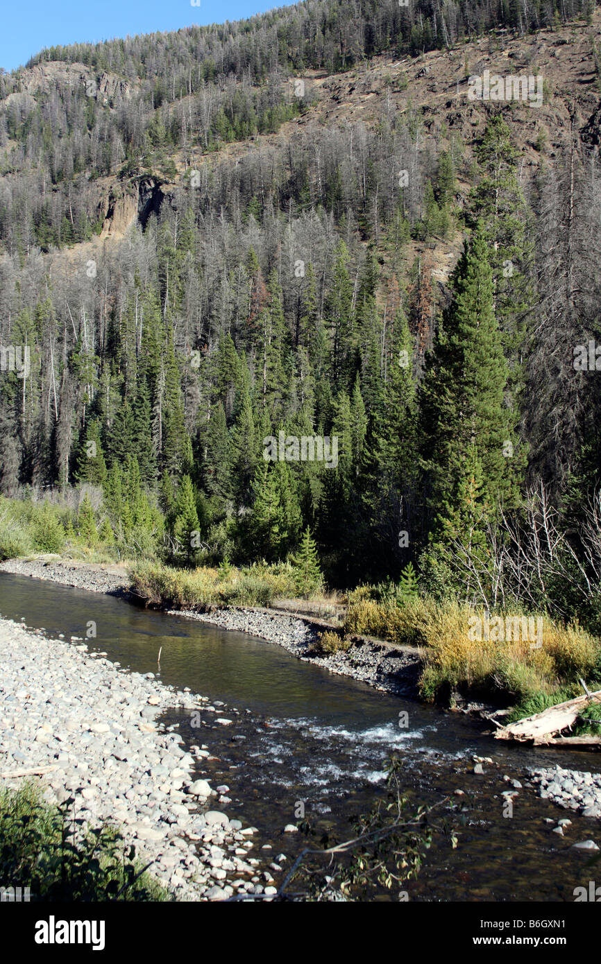 River at rocky mountains national park ,USA Stock Photo - Alamy