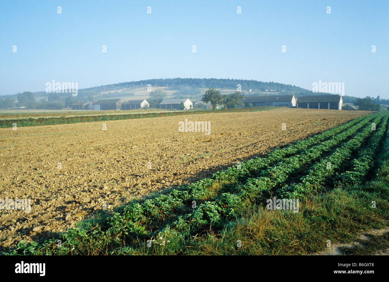 Poland Psary agriculture fields village Stock Photo - Alamy
