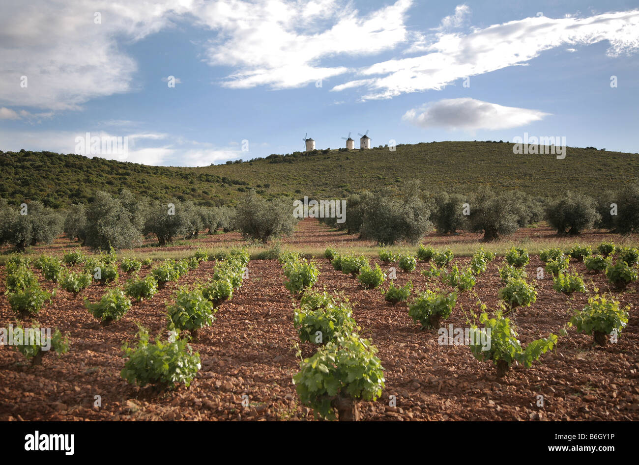 La mancha landscape hi-res stock photography and images - Alamy