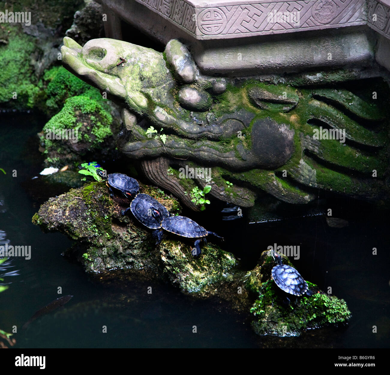 Turtles Temple Garden Baoguang Si Shining Treasure Buddhist Temple ...