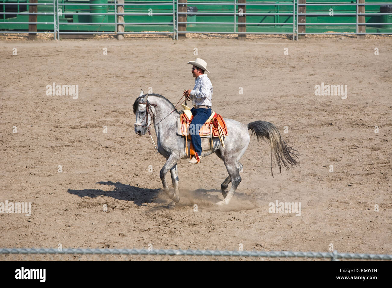 Charreada hi-res stock photography and images - Alamy