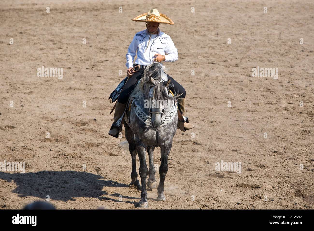 Mexican cowboy riding horse at rodeo Stock Photo - Alamy