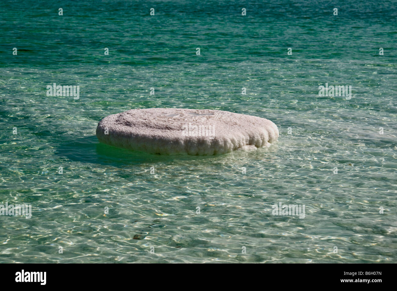 A salt-encrusted stone in Dead Sea,Israel Stock Photo - Alamy