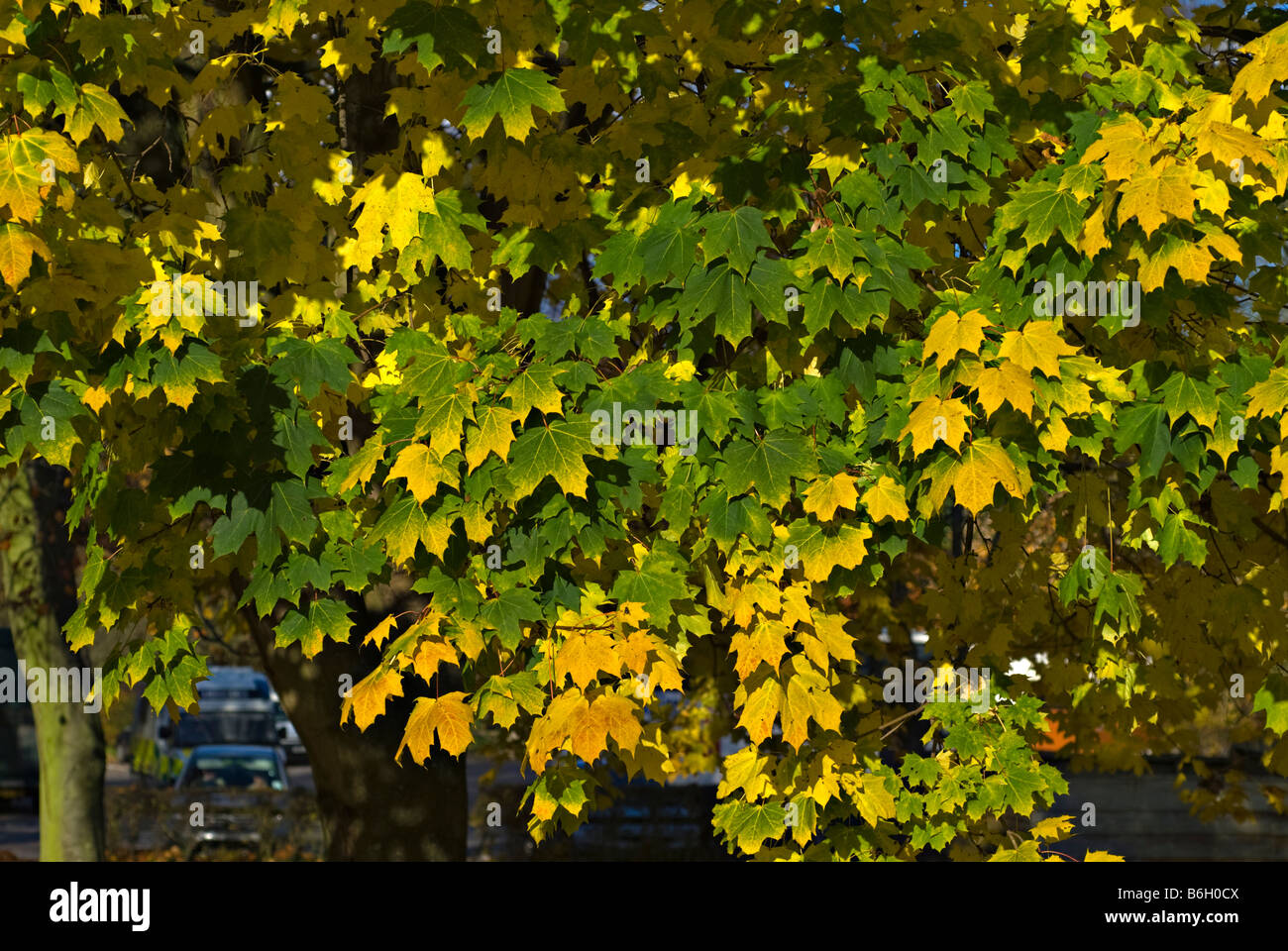 Mellow colours hi-res stock photography and images - Alamy