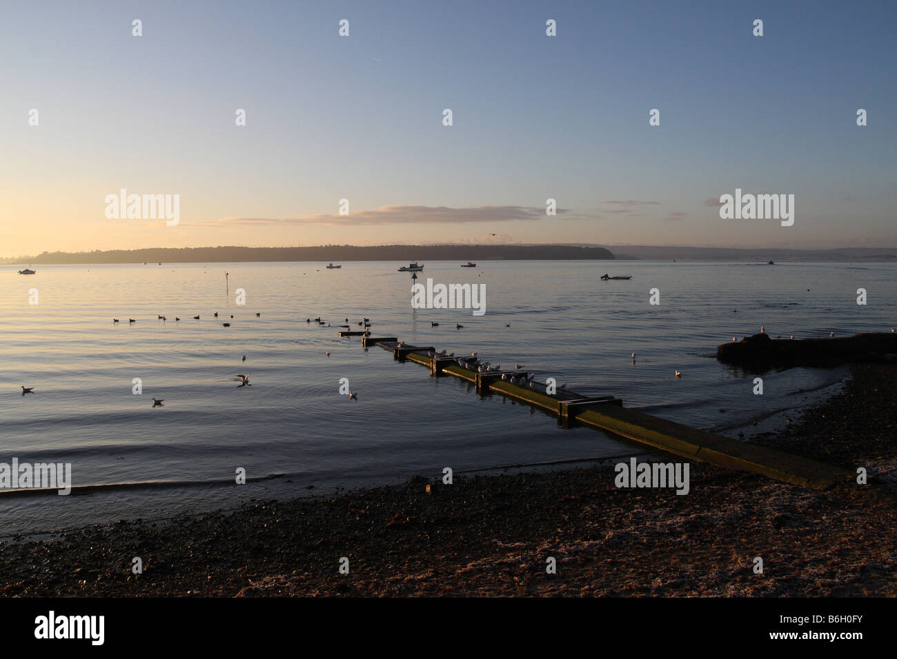 Brownsea island hi-res stock photography and images - Alamy