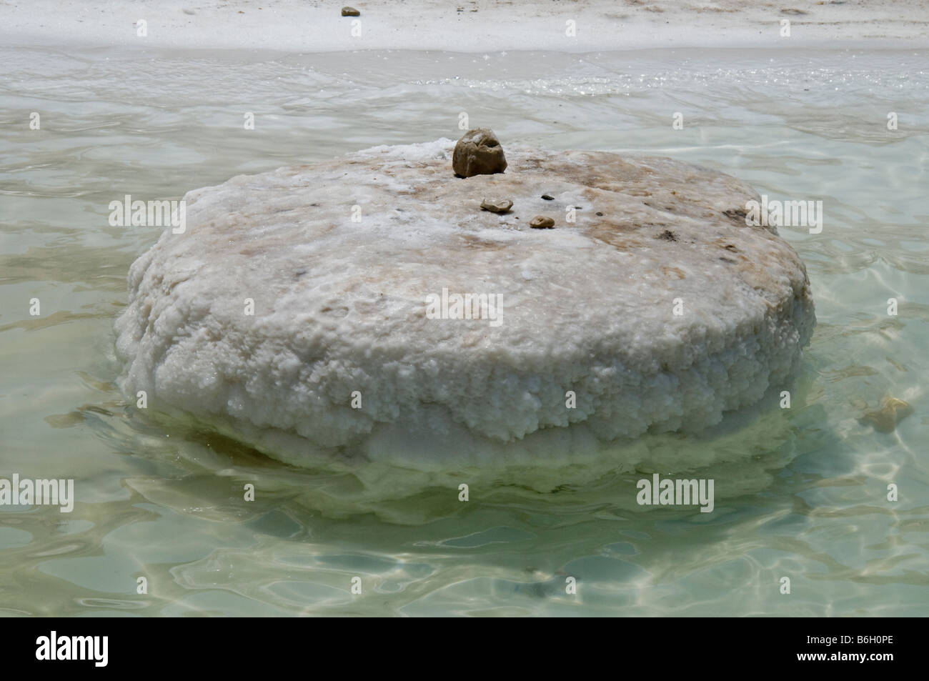 Crust of salt hi-res stock photography and images - Alamy