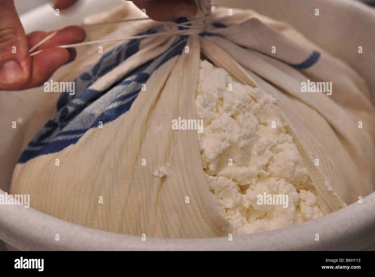 Home made white cheese Separating the Curds from the whey Stock Photo ...
