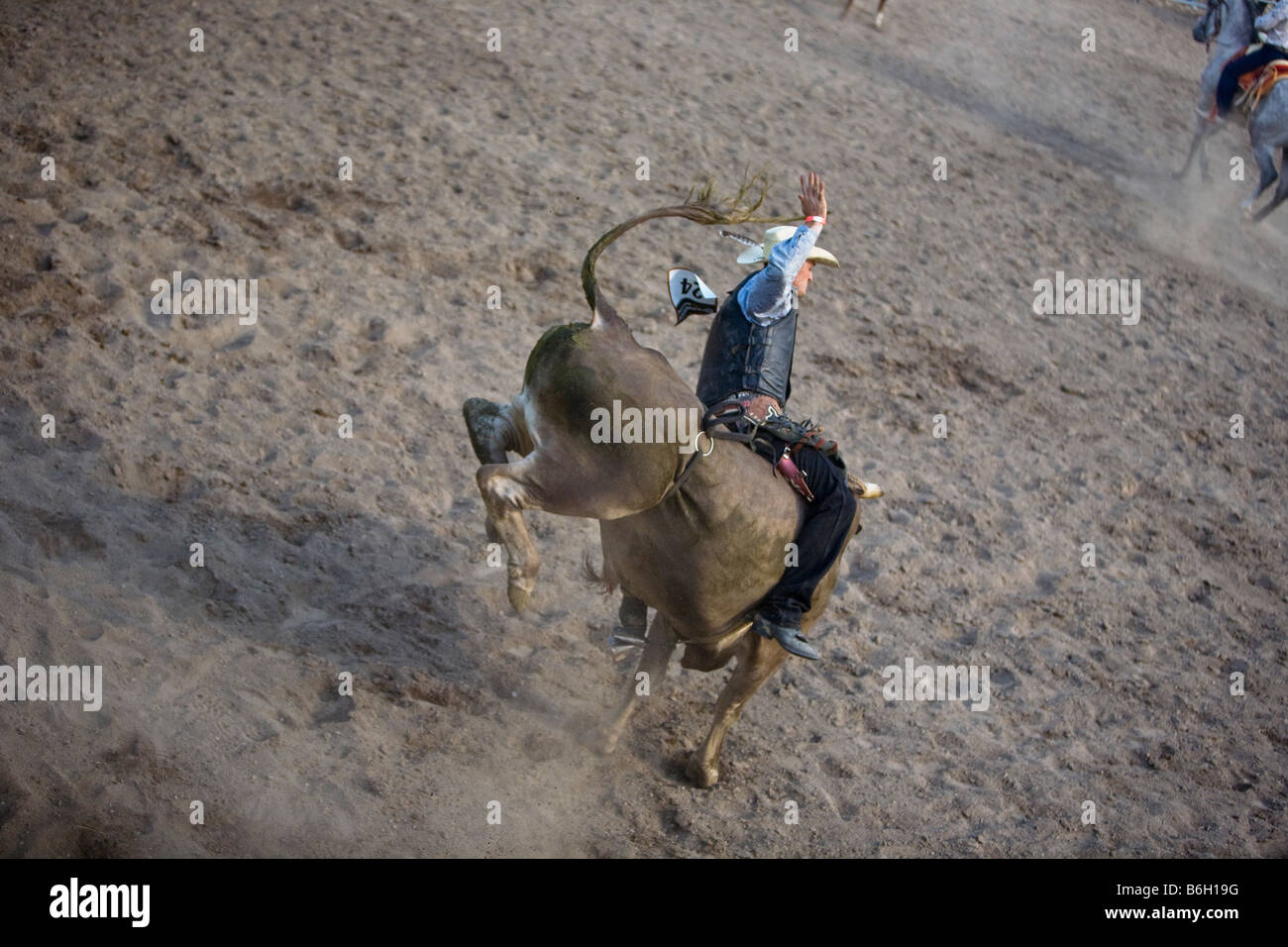 Cowboy riding bucking bull Stock Photo - Alamy
