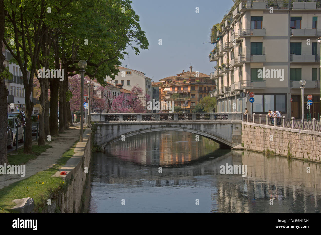 Treviso cherry blossom Riviera Santa Margherita River Sile Veneto Italy ...
