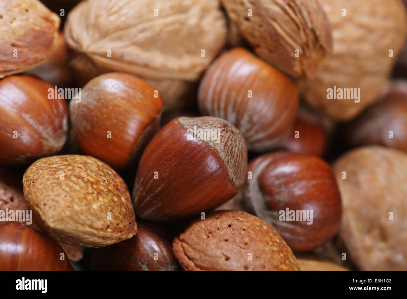 variety of nuts walnut almonds and hazelnuts Stock Photo - Alamy