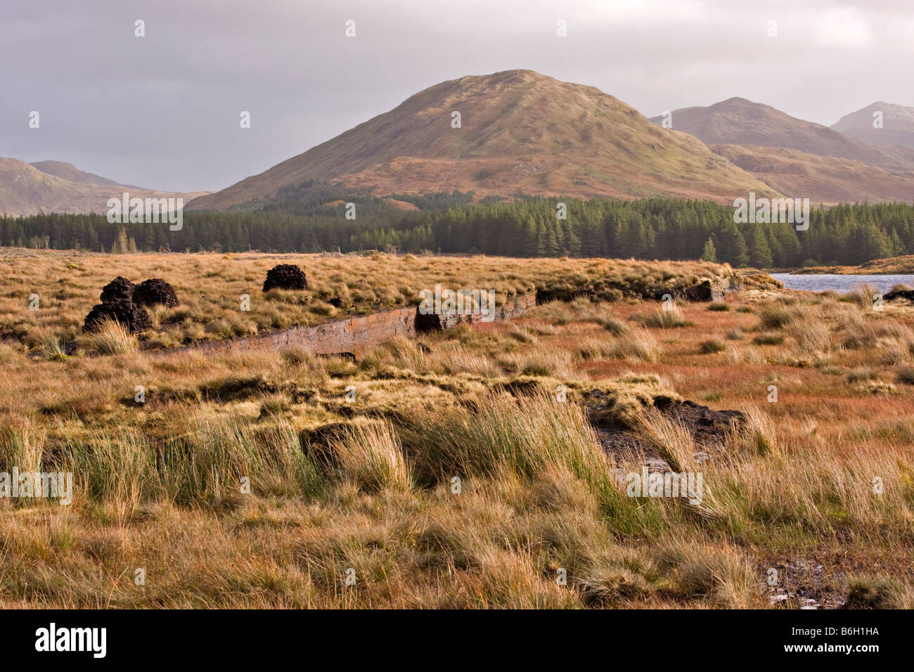 Peat bog ireland hi-res stock photography and images - Alamy