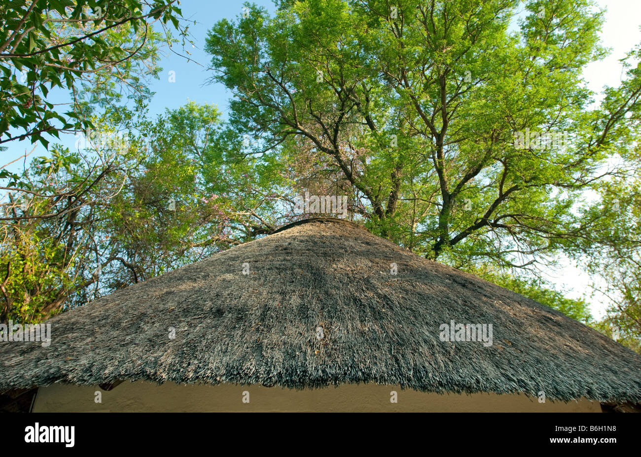 Round thatched roof building hi-res stock photography and images - Alamy