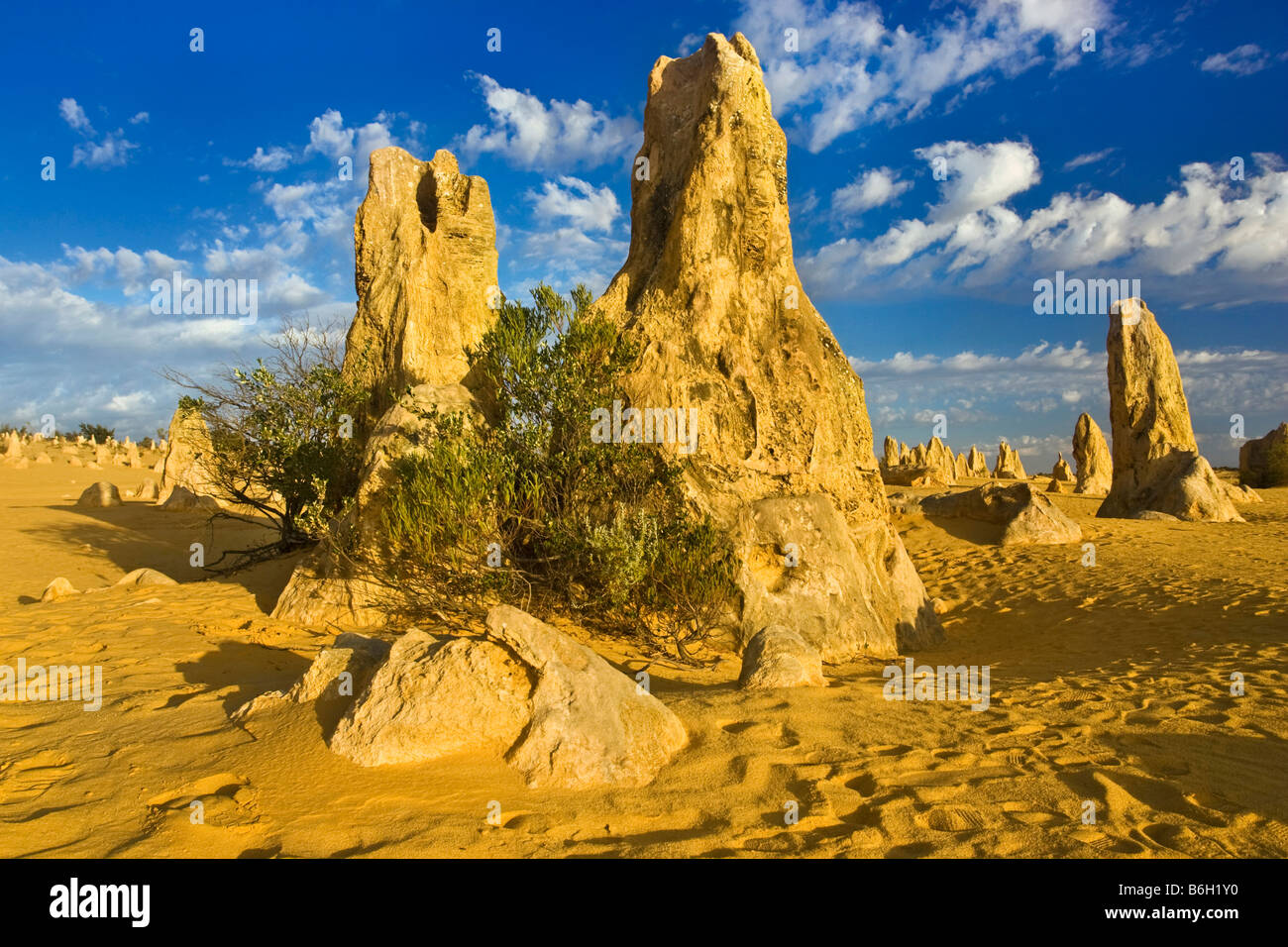 Limestone pillars in the Pinnacles Desert in the Nambung National Park ...