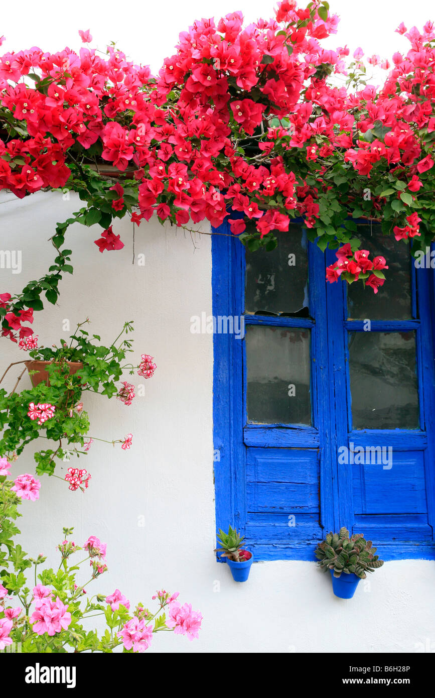 Colourful window hi-res stock photography and images - Alamy