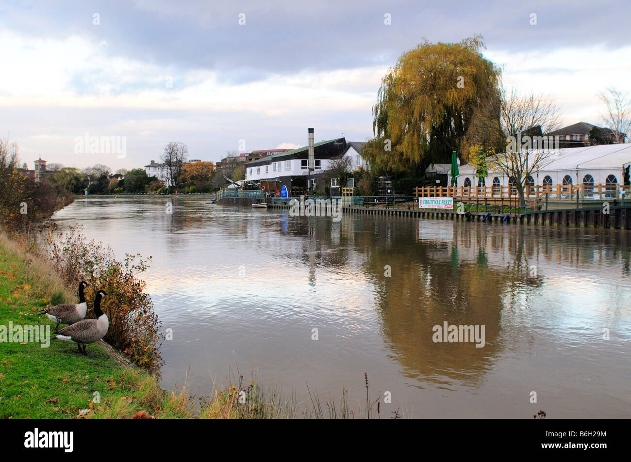 River Thames with Raven s Ait island in Kingston Surrey Stock Photo - Alamy