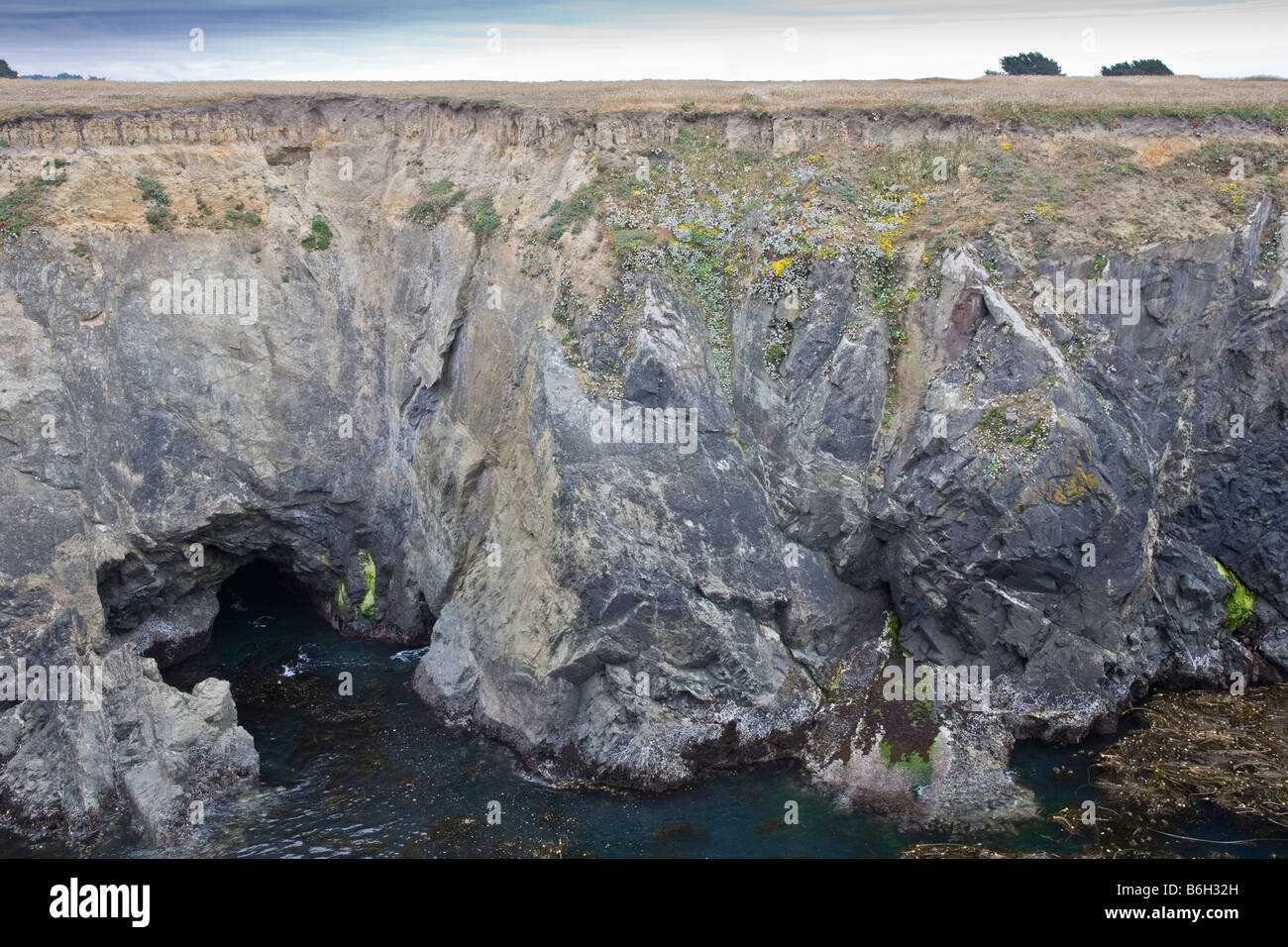 The Mendocino Headland State Park Stock Photo - Alamy