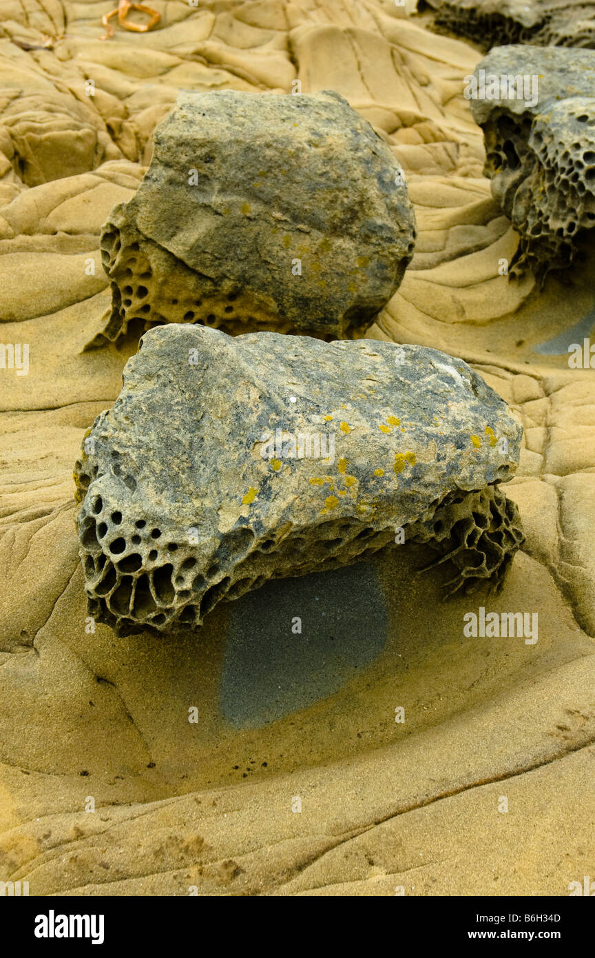 Sandstone Formations, Salt Point State Park, California Stock Photo - Alamy