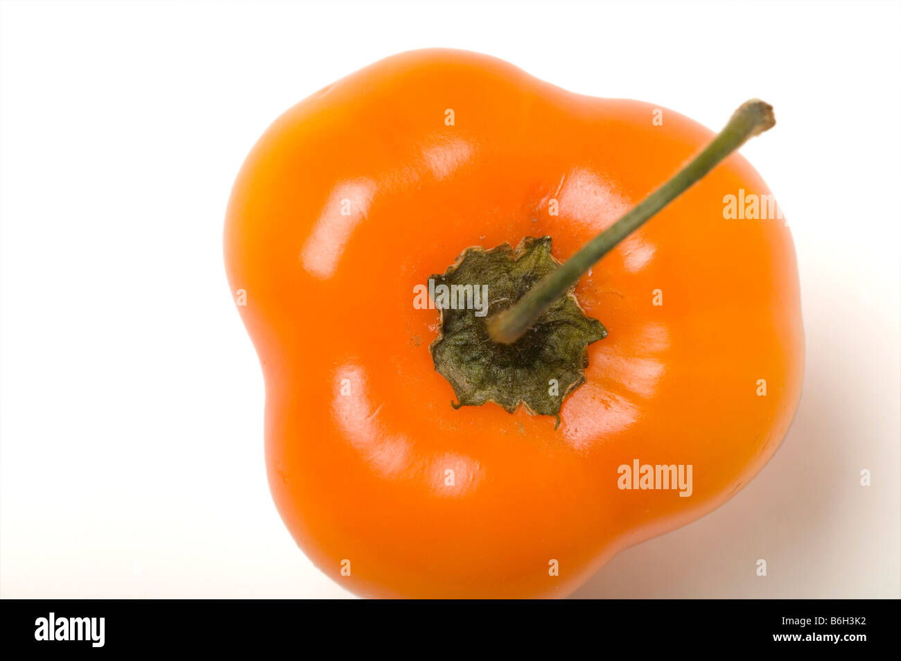 Manzano hi-res stock photography and images - Alamy