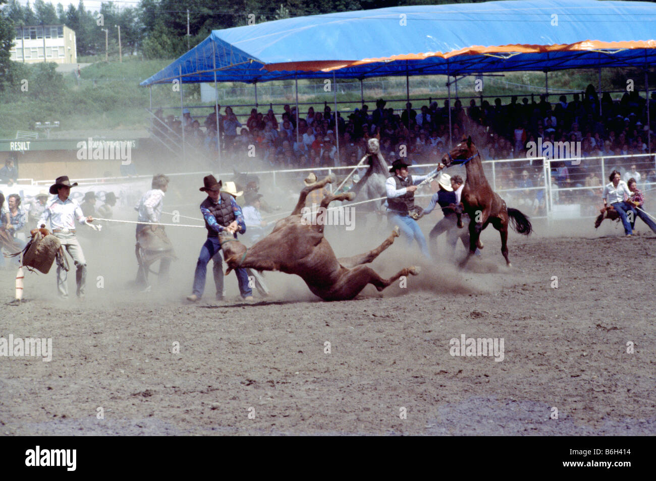 Surrey, BC, British Columbia, Canada - Cloverdale Rodeo, Cowboys racing ...