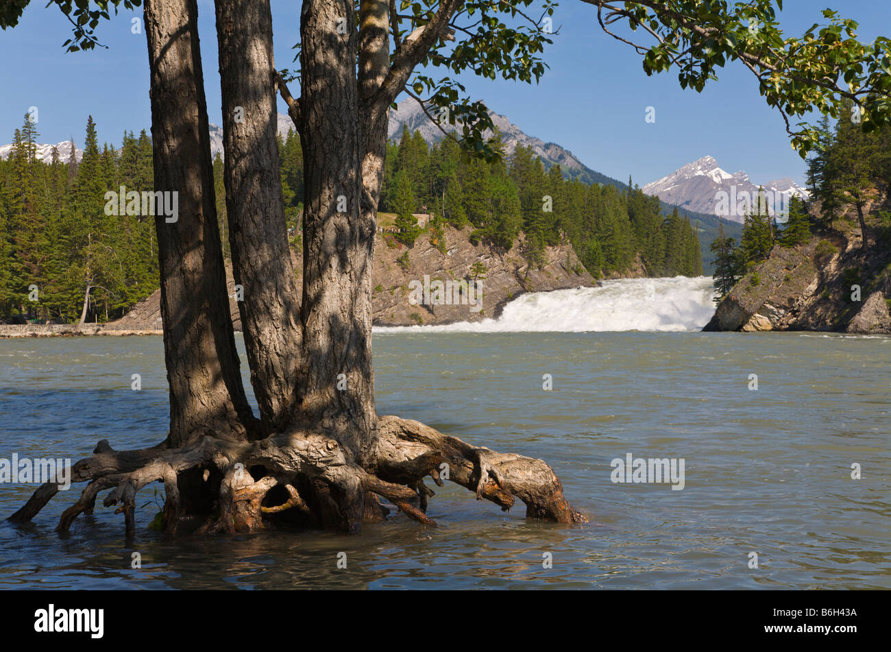 Bow falls banff national hi-res stock photography and images - Alamy
