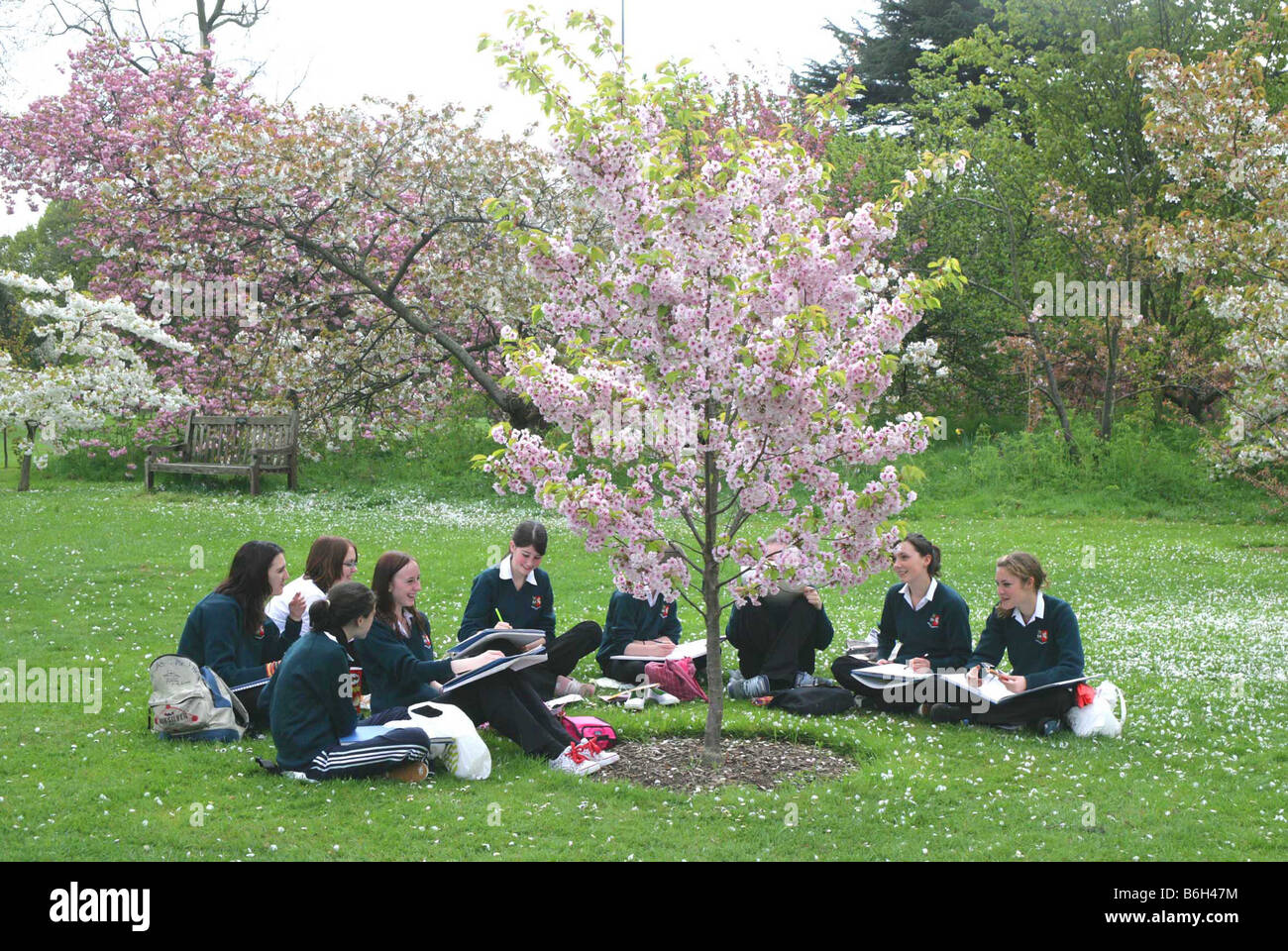 SPRING BLOSSOM IN KEW GARDENS LONDON Stock Photo - Alamy