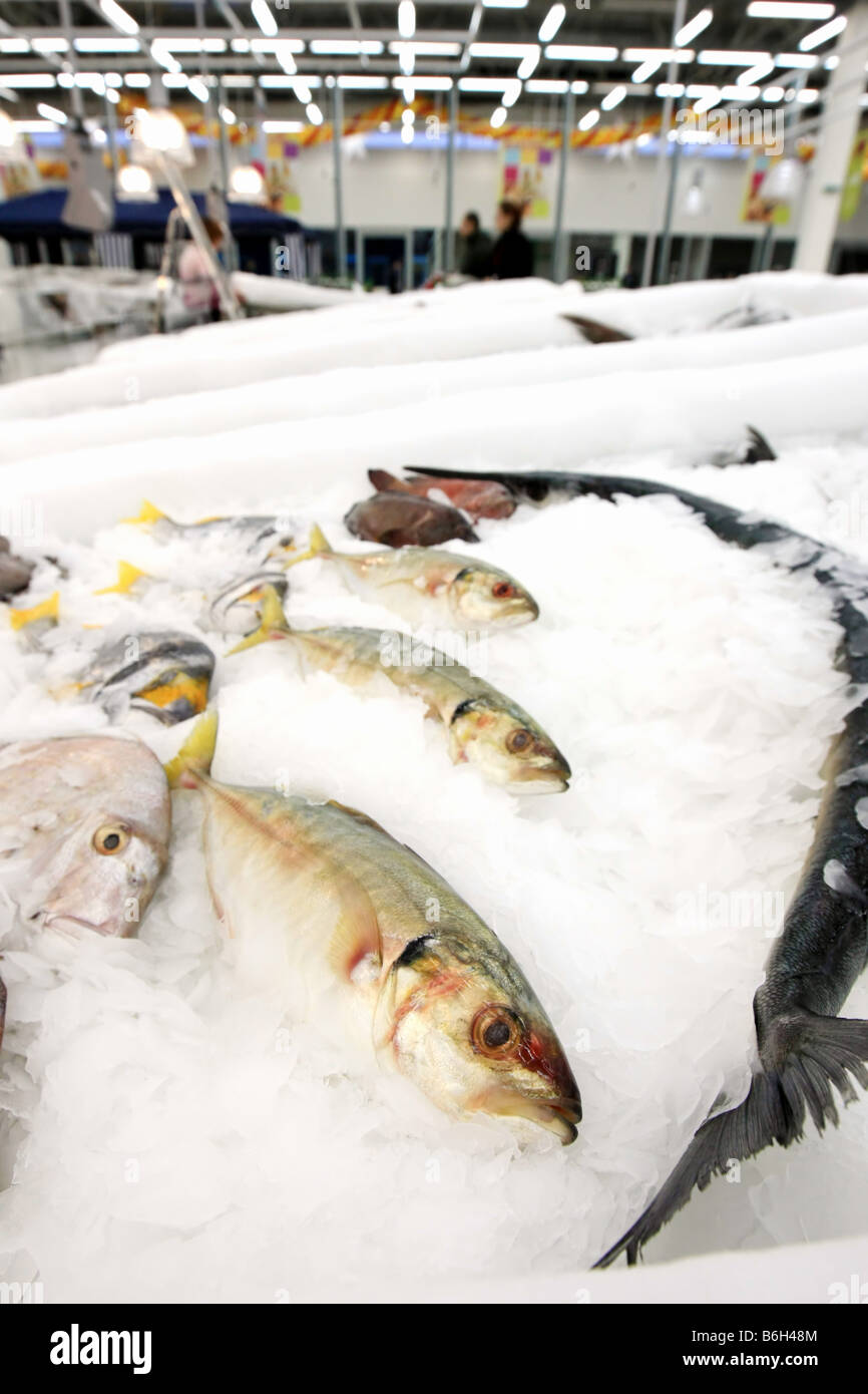 fish stored on ice at the fish market Stock Photo - Alamy