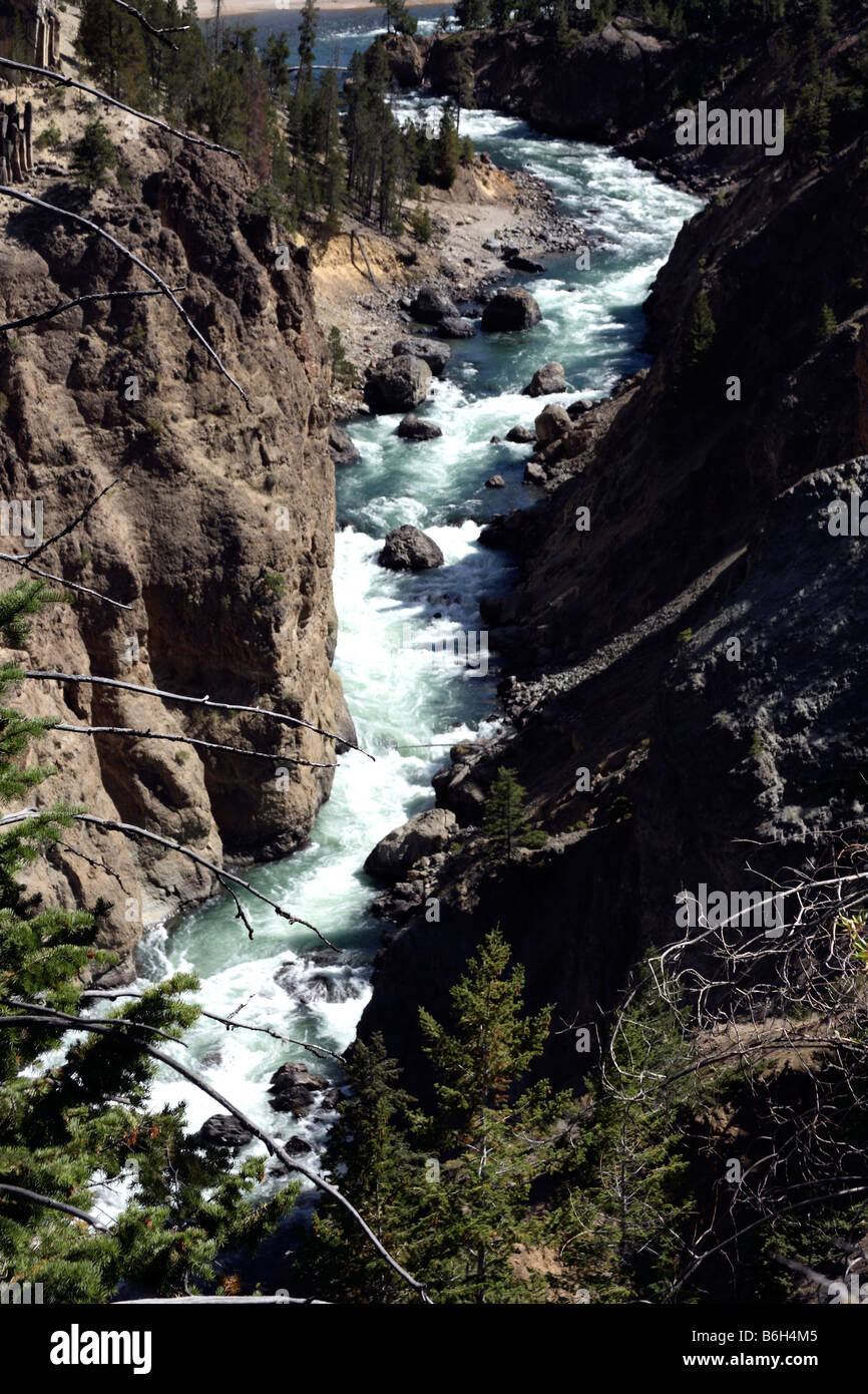 The Yellowstone River,Yellowstone national park,USA Stock Photo - Alamy