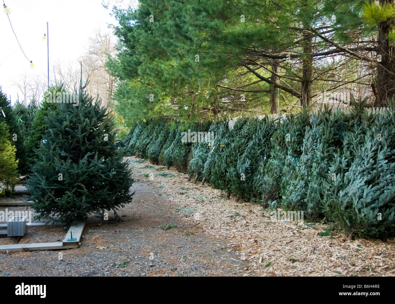 Christmas display farm hi-res stock photography and images - Alamy