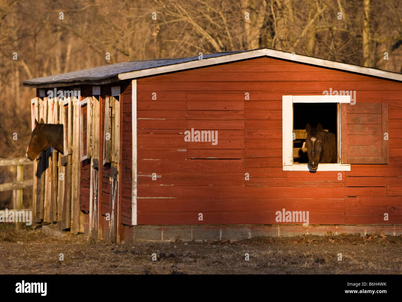 Horse stable hi-res stock photography and images - Alamy