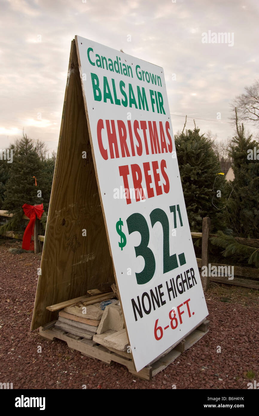 Christmas trees for sale sign Stock Photo - Alamy