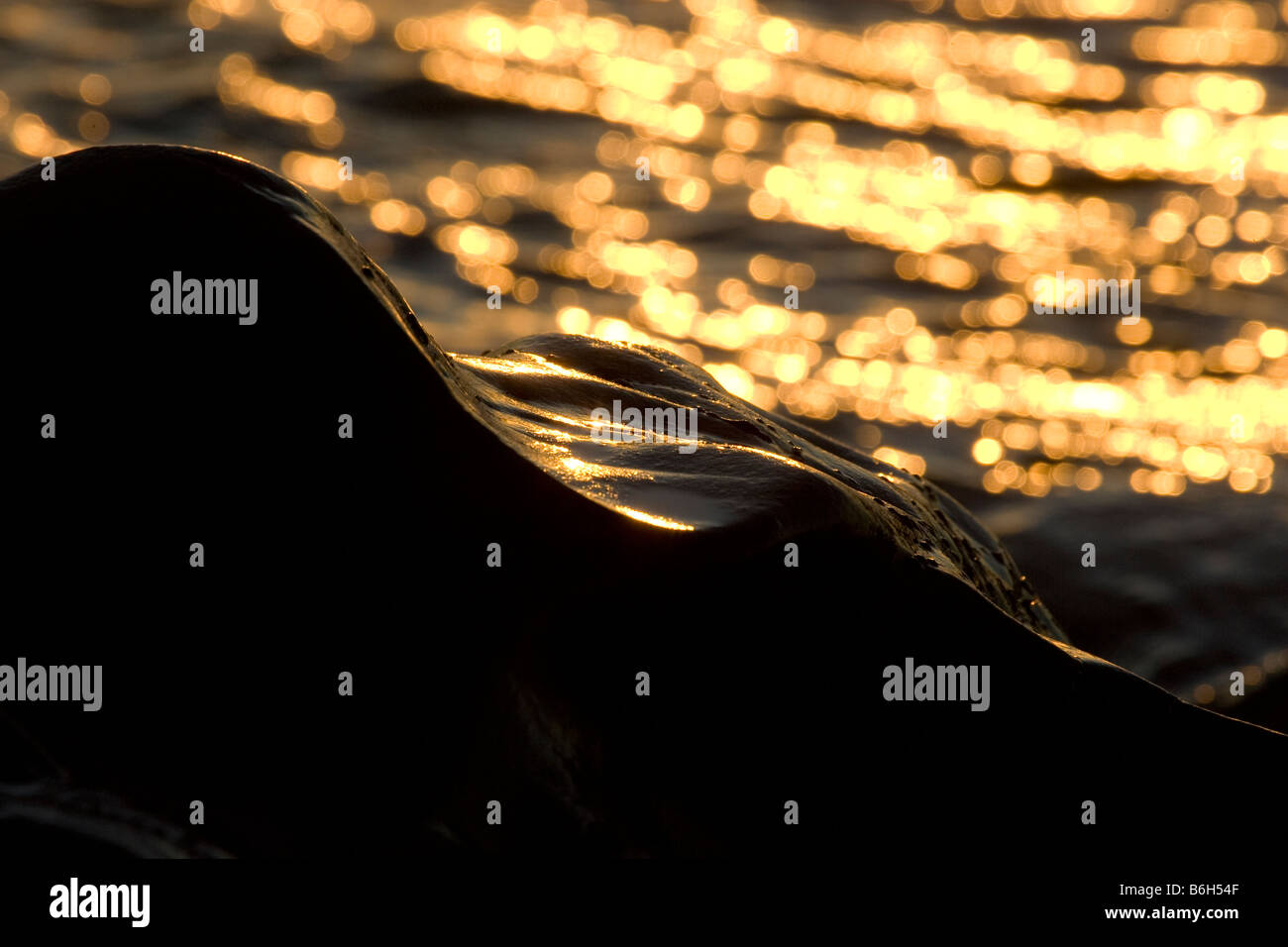 Sunset Reflecting off of a Smooth Rock at the Shoreline Stock Photo - Alamy